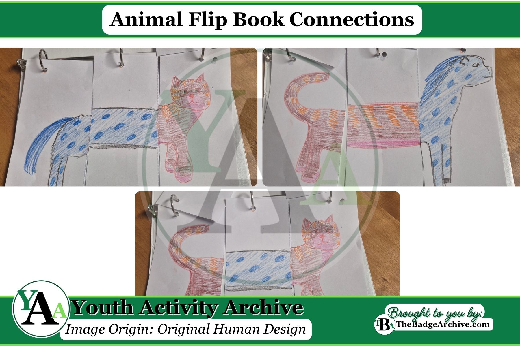 Animal Flip Book Connections – Youth Activity Archive